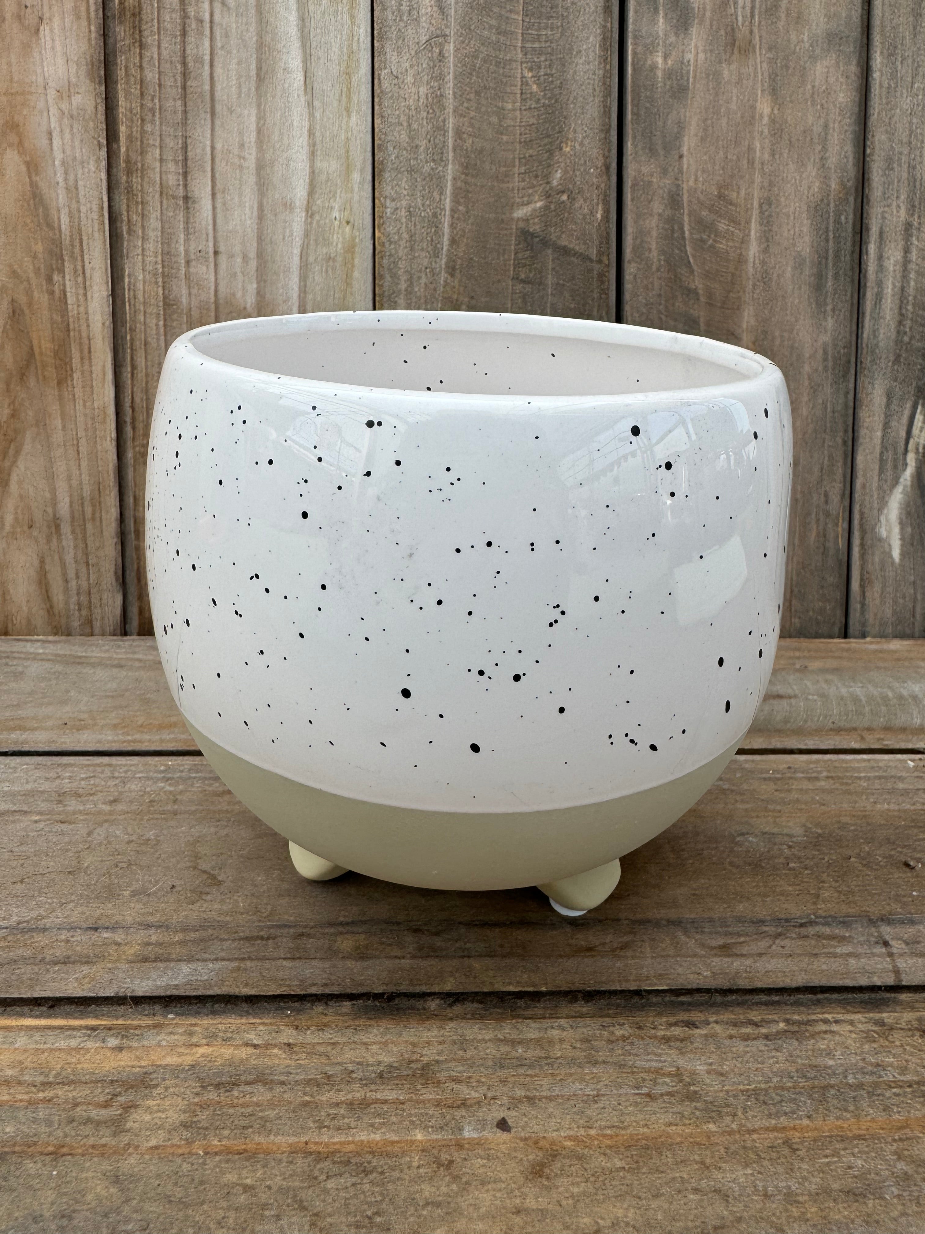 Speckled White Ceramic Cache Pot – Springwater Garden Center